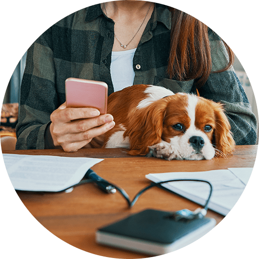 Encontre o seu distribuidor local